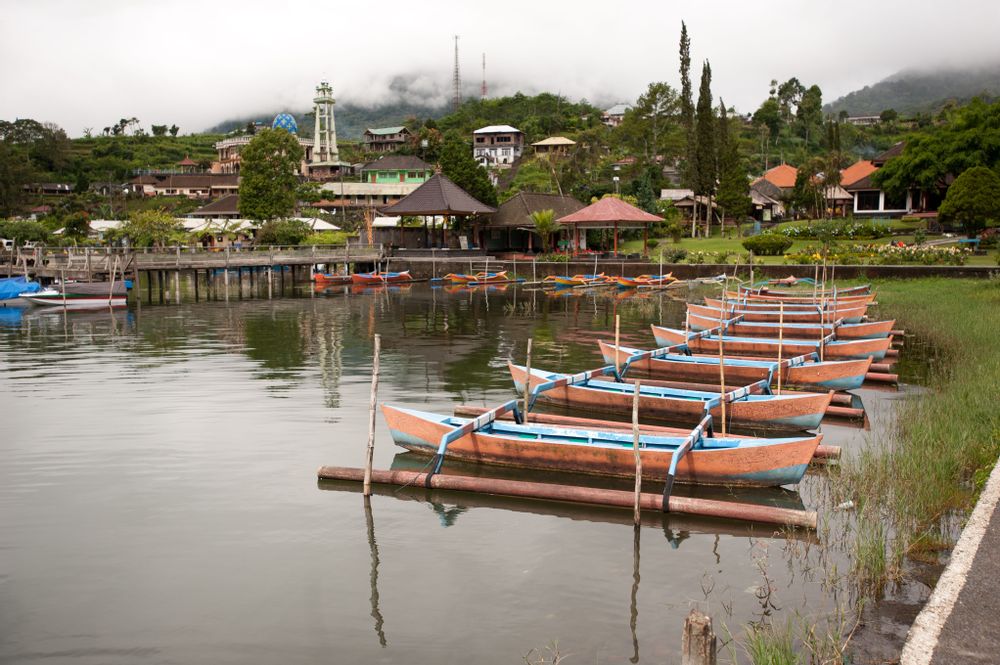 Ubud, Bali to Lovina, Bali Bus, Minivan $20 | Standard VIP & More