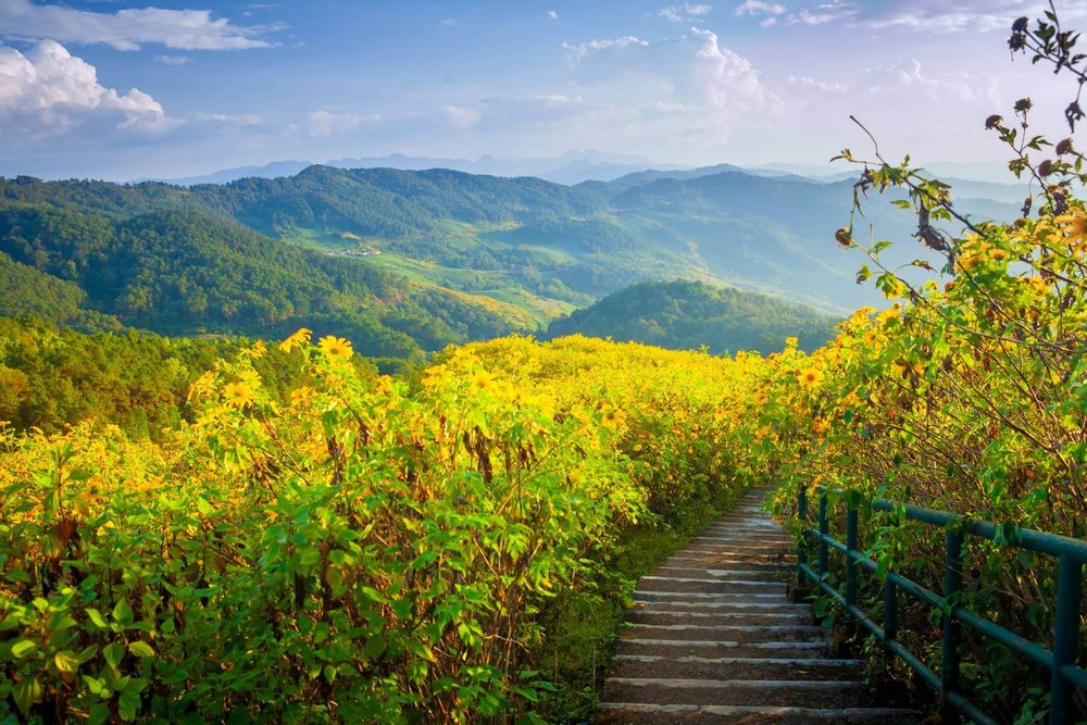 Limited | Bangkok to Mae Hong Son Direct Bus, Flight | May 2026