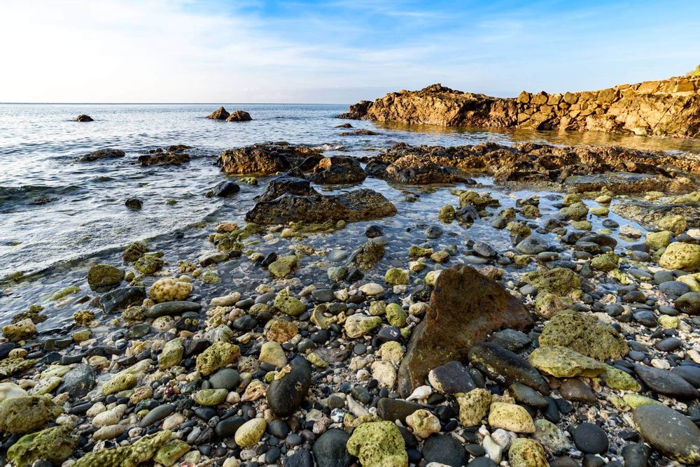 Limited | Calapan, Mindoro Island to Batangas Direct Ferry, Bus | Jan 2026