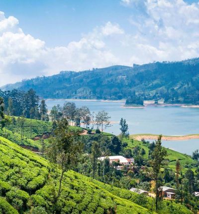 Colombo to Nuwara Eliya - bus, train, minivan, car tickets from $5