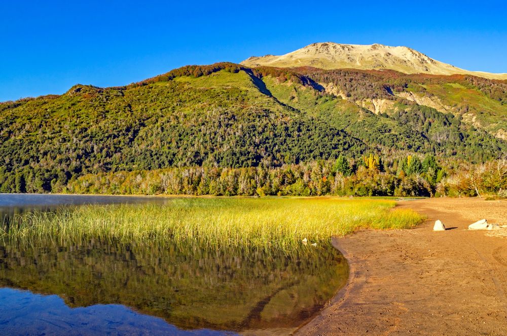 Zapala to Neuquen - bus tickets from US$22