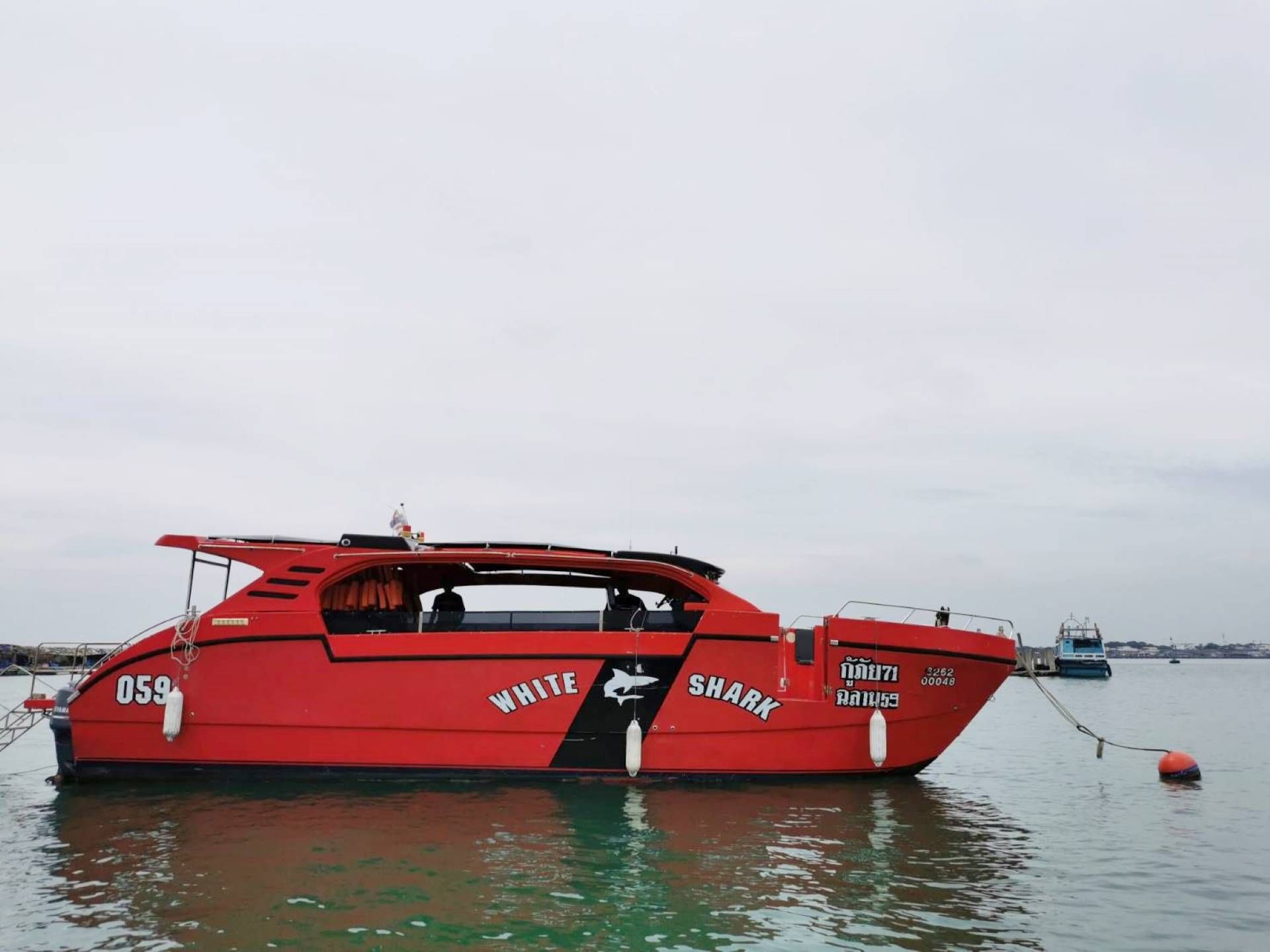 White Shark Speedboat - Ferry, Tickets and online bookings