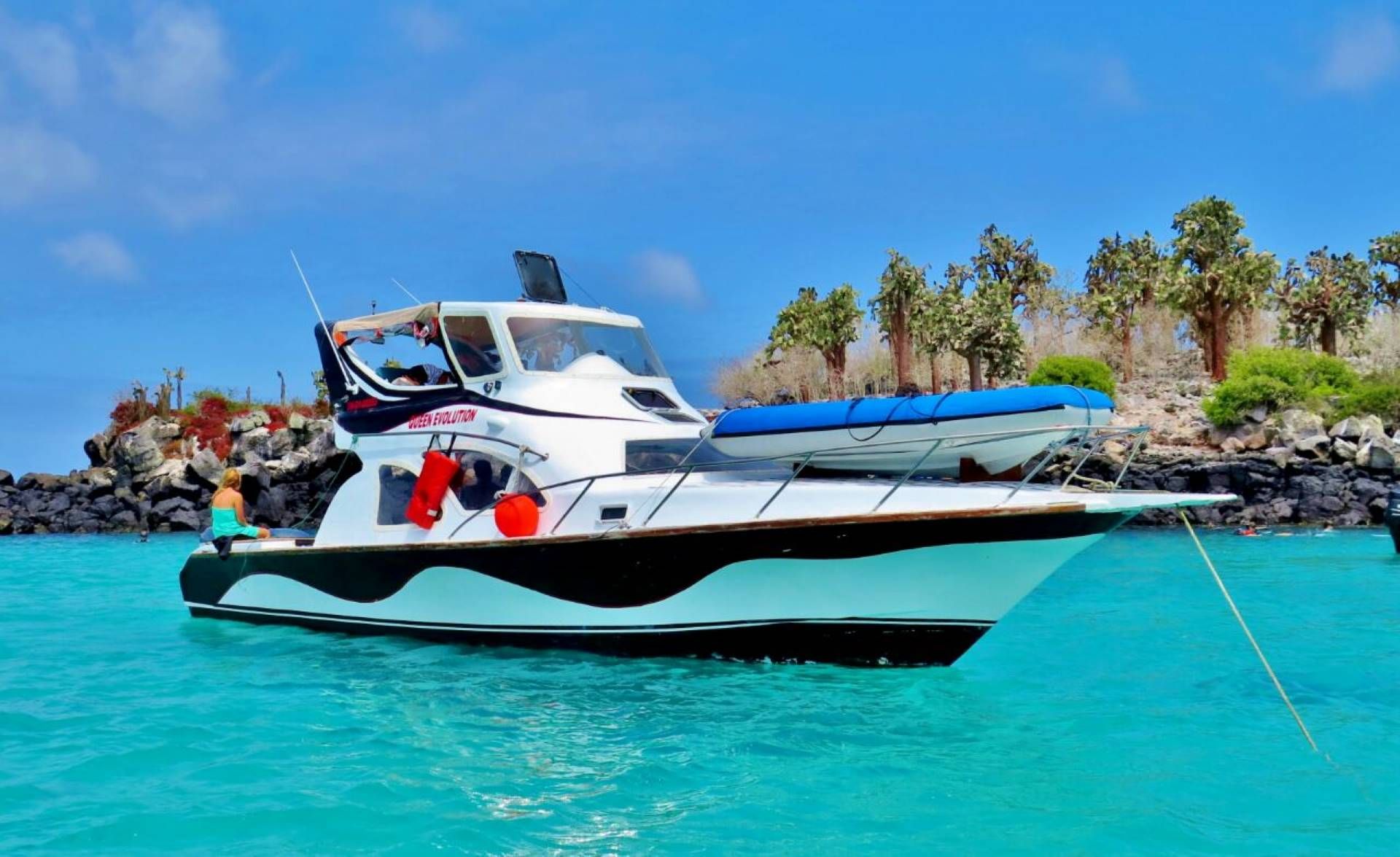 Perfect Destiny - Minivan, Tickets and online bookings