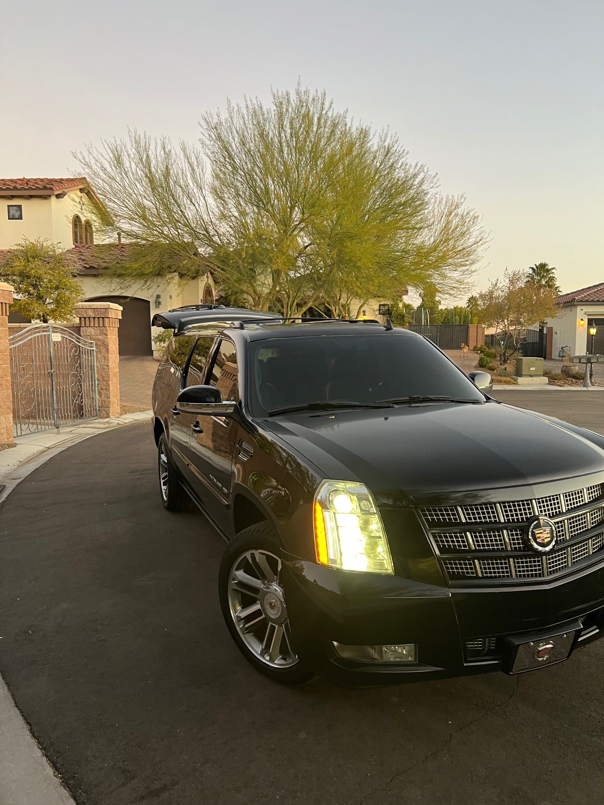 Elife Limo - Car, Tickets and online bookings