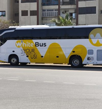 White Bus - Book your ride