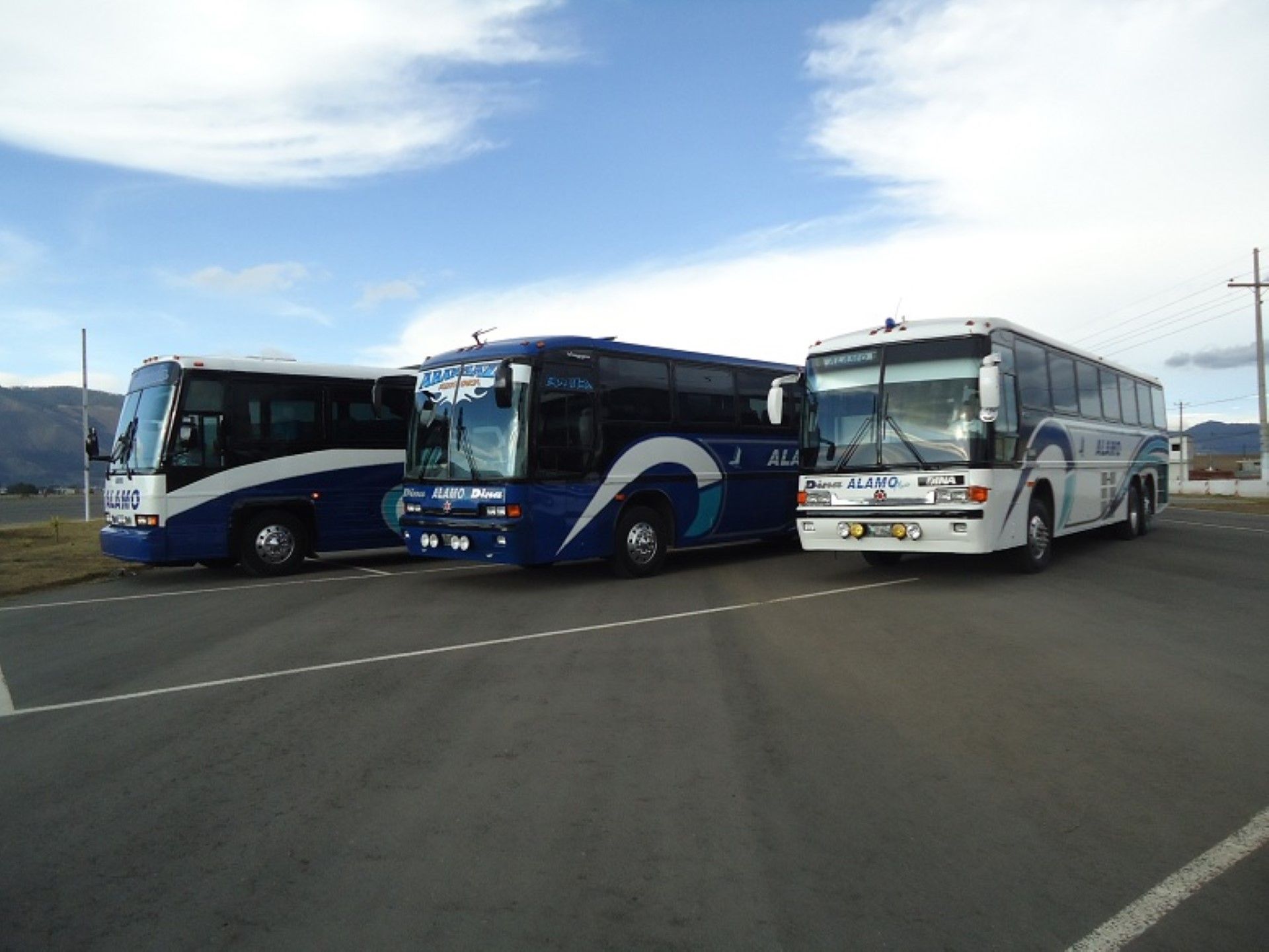Transportes Alamo - Minivan, Tickets and online bookings