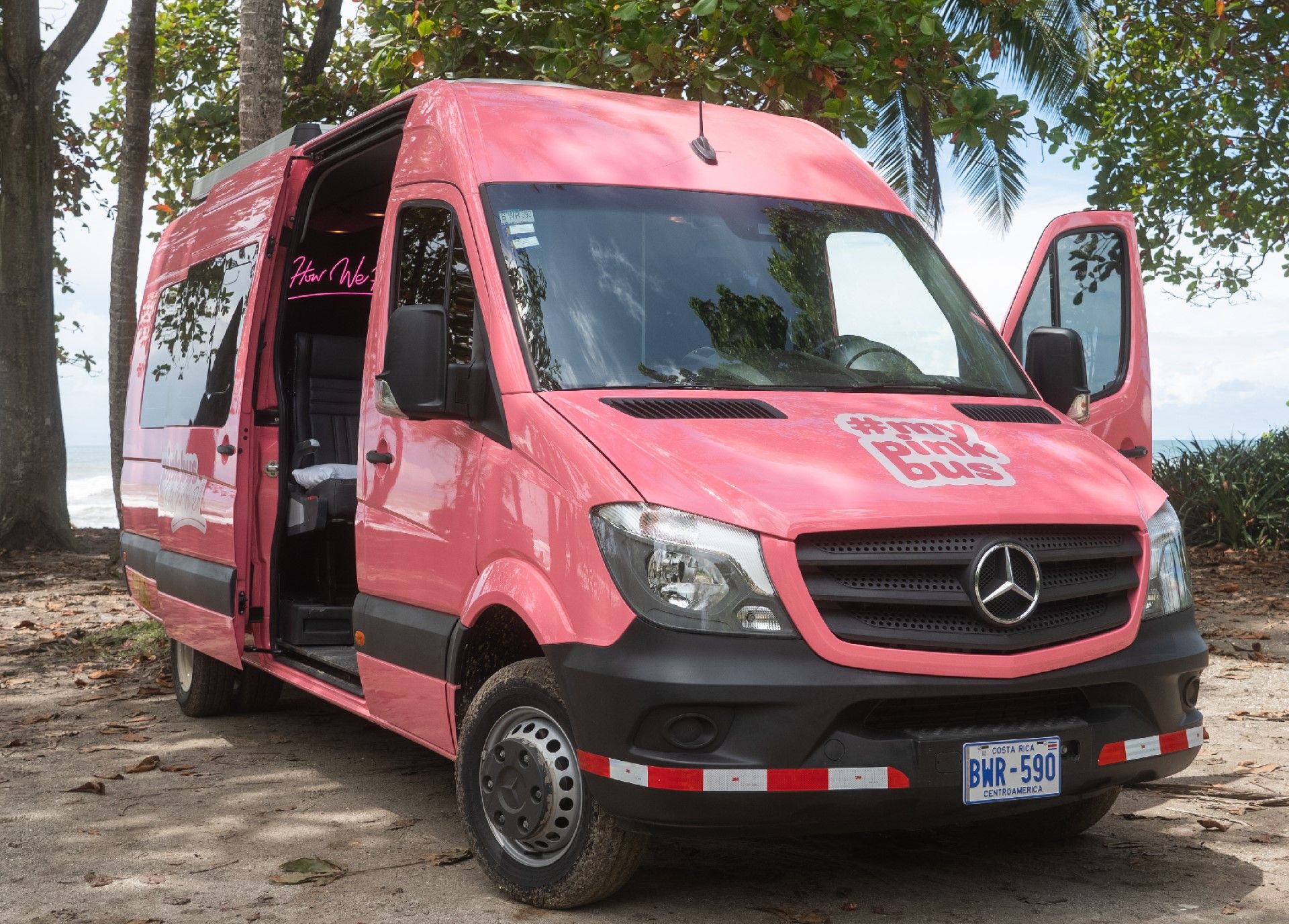 My Pink Bus - Minivan, Tickets and online bookings