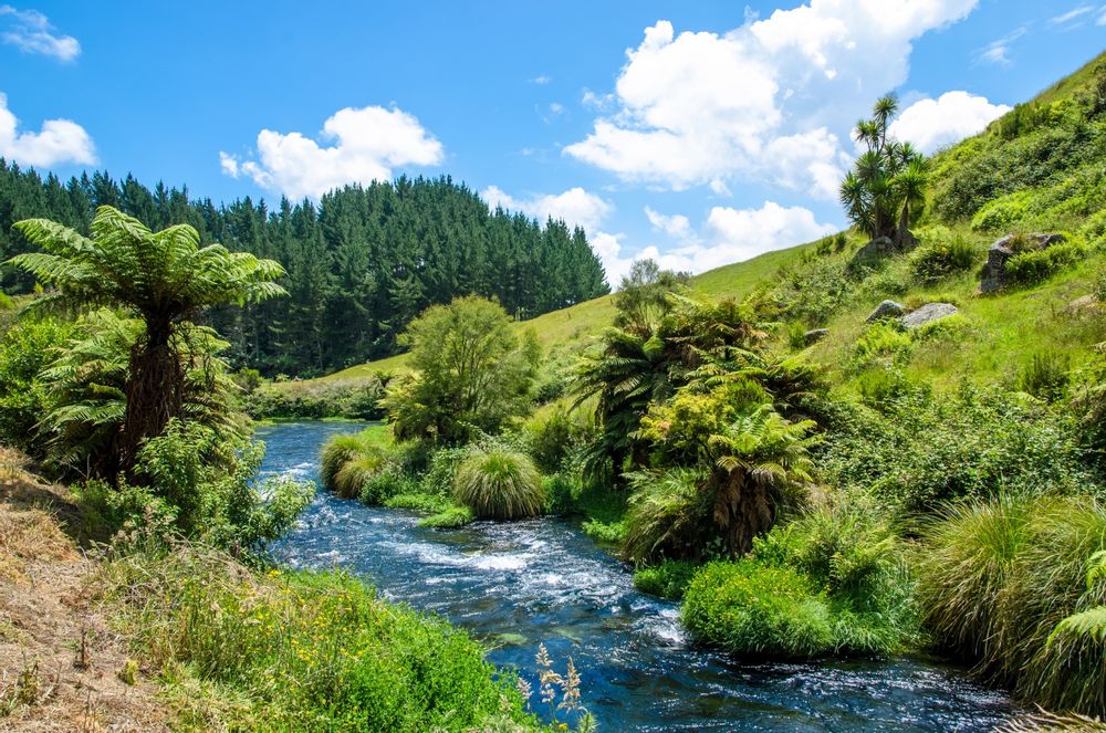 Auckland to Hamilton tickets - bus, train