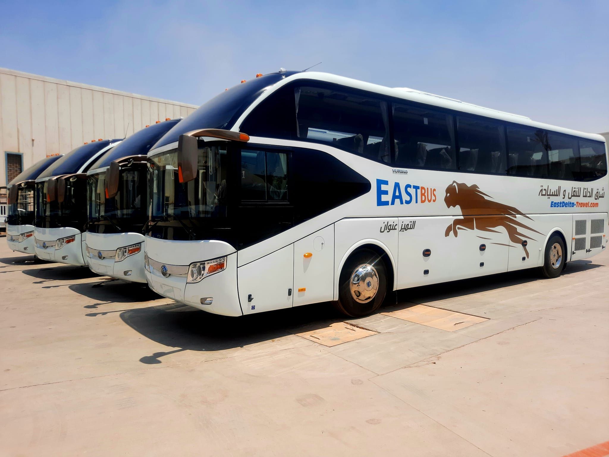 East Bus - Minivan, Tickets and online bookings