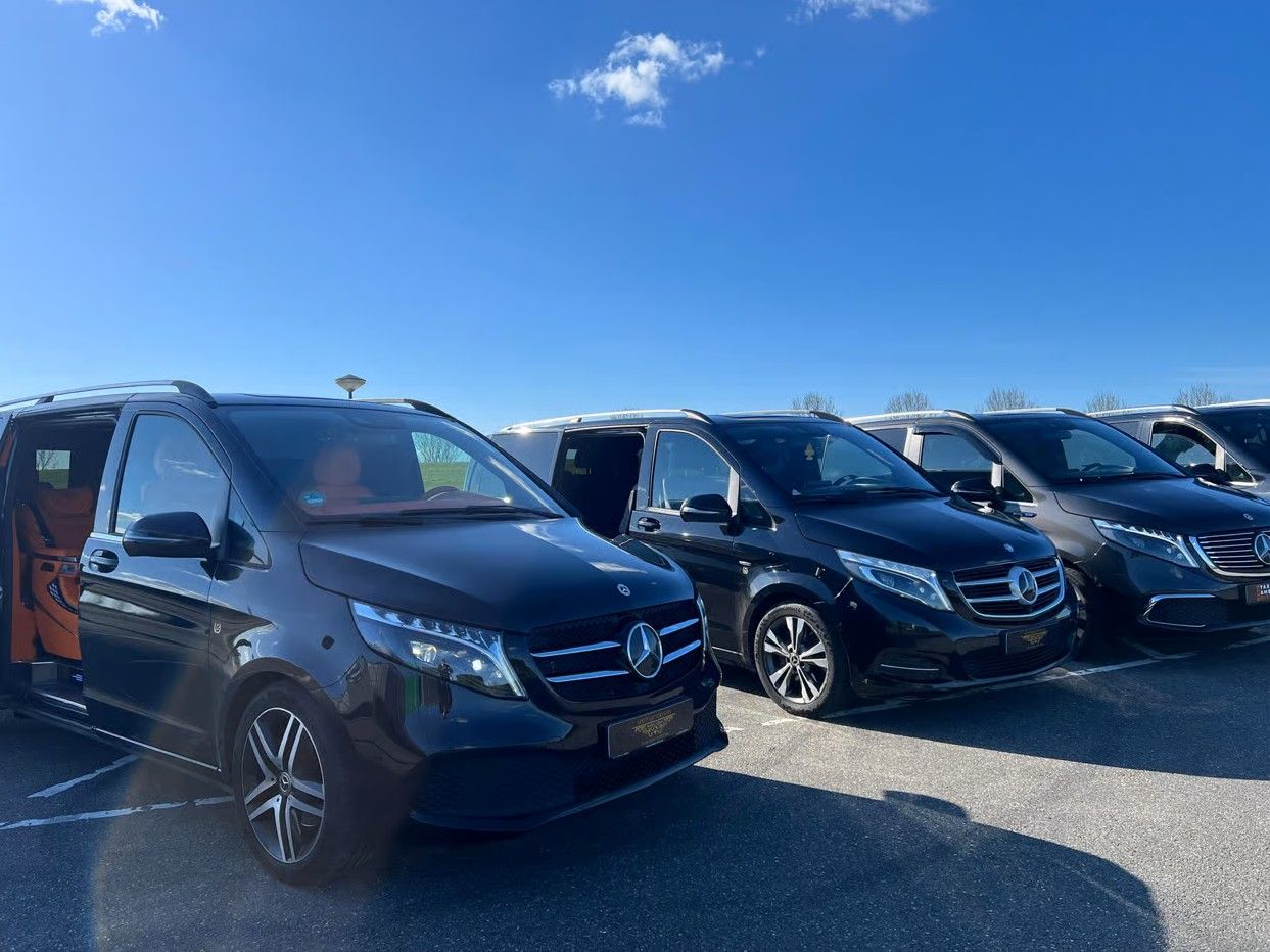 Egypt Luxury Private Transfer - Minivan, Tickets and online bookings