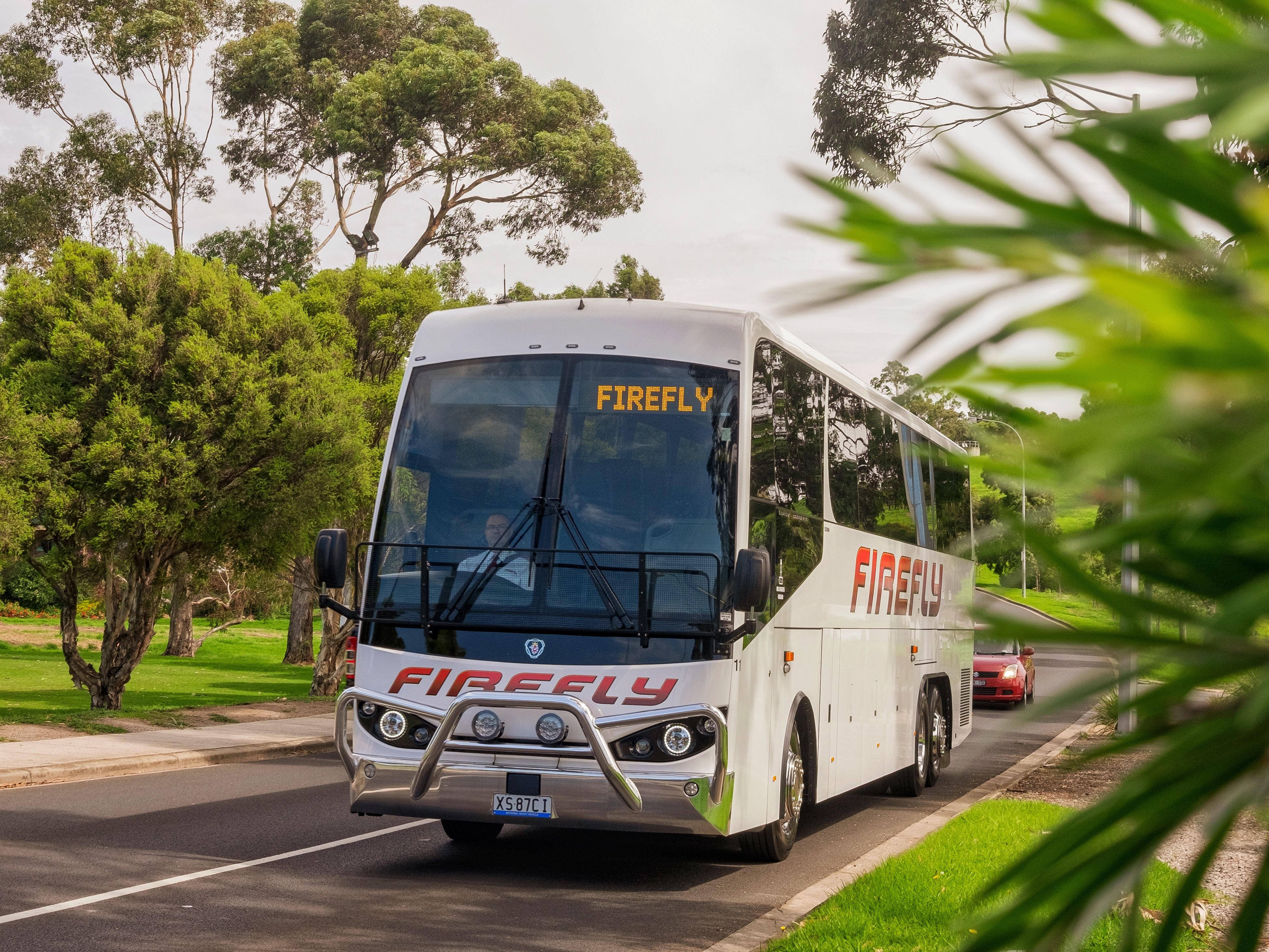 Firefly Express - Bus, Tickets and online bookings